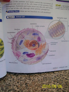 Life As We Know It: 7th grade Science project